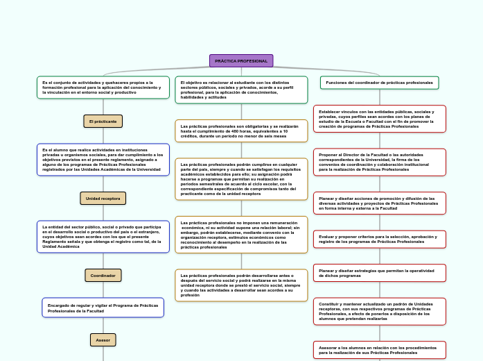 PRÁCTICA PROFESIONAL - Mind Map